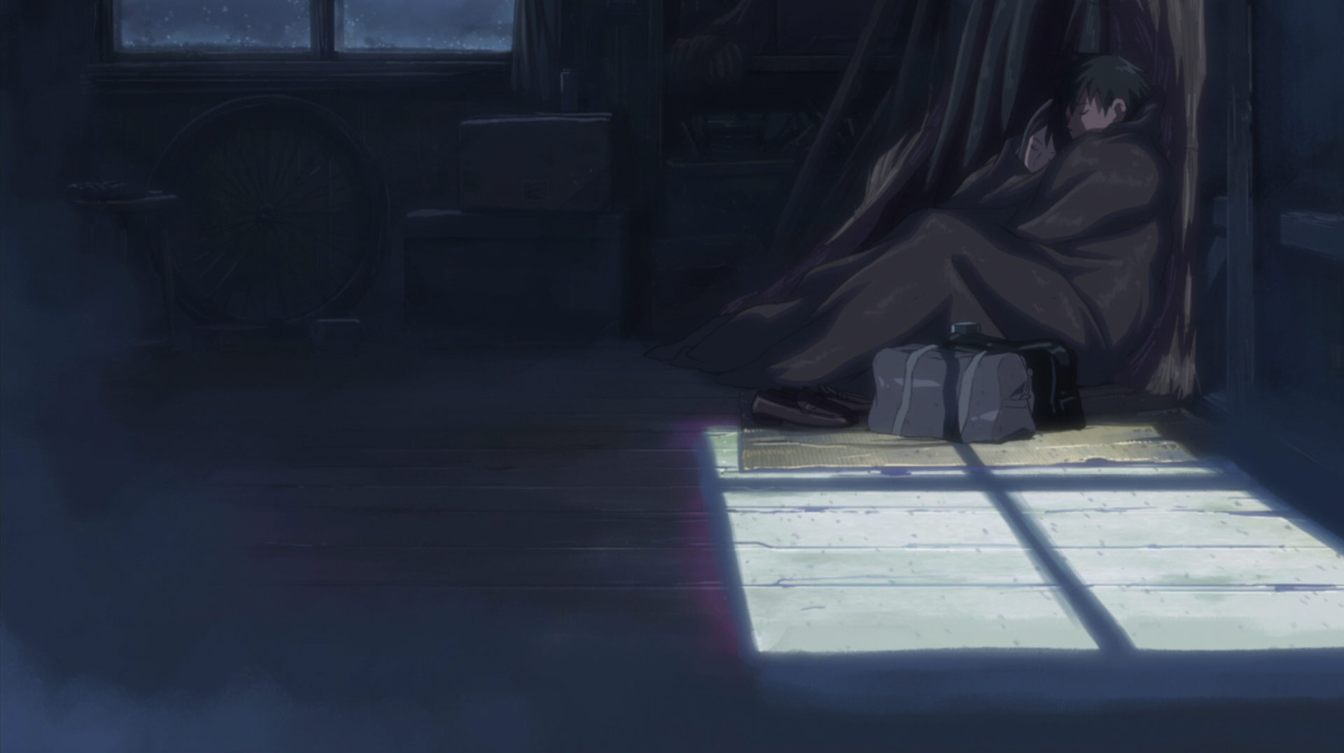 5 Centimeters Per Second 100
