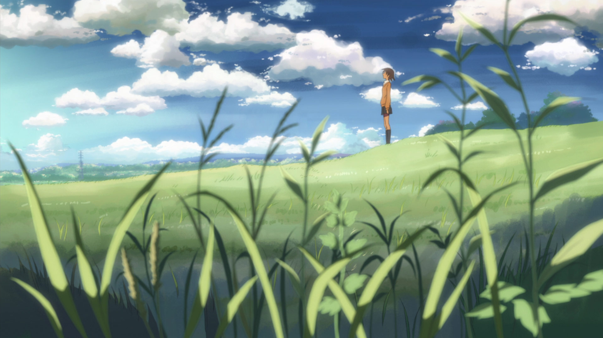 5 Centimeters Per Second 182